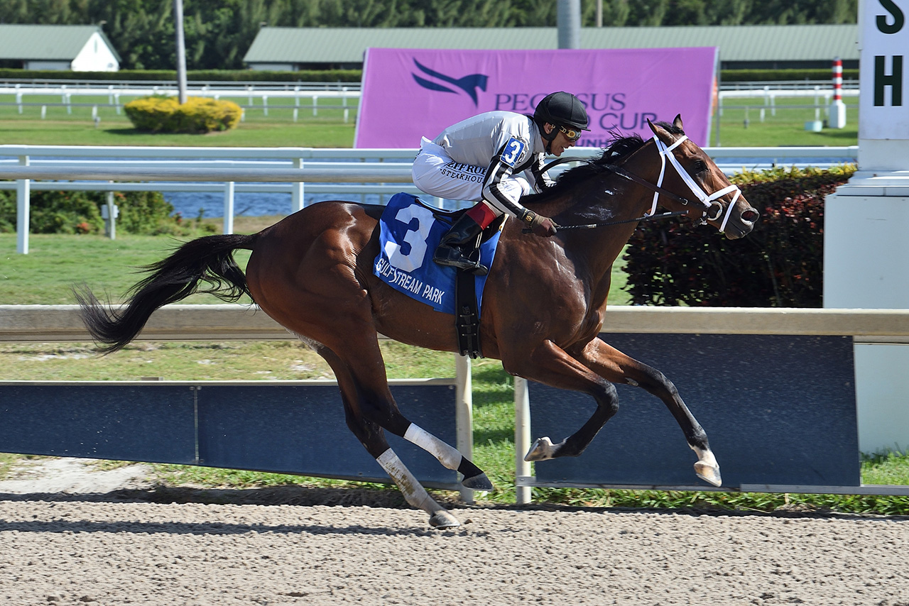 Candy Tycoon 2023 Kentucky Derby Oaks May 5 And May 6 2023 candy-tycoon-2023-kentucky-derby-oaks-may-5-and-may-6-2023
